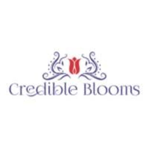 Lyrica – Colors LAND